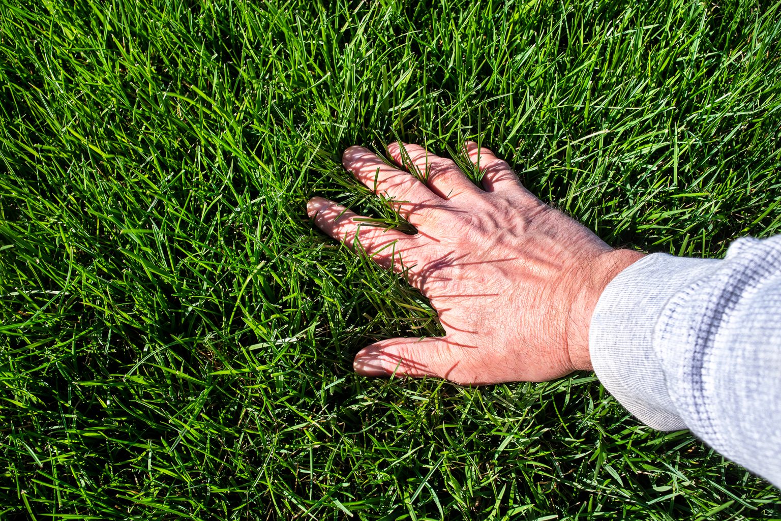 Top 5 Reasons to Overseed Your Lawn | Melnor Gardening