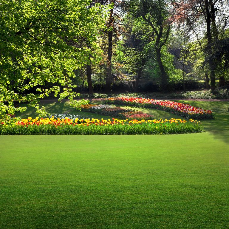 Types of Grass | Blog | Melnor Gardening Types of Grass | Blog | Melnor Gardening